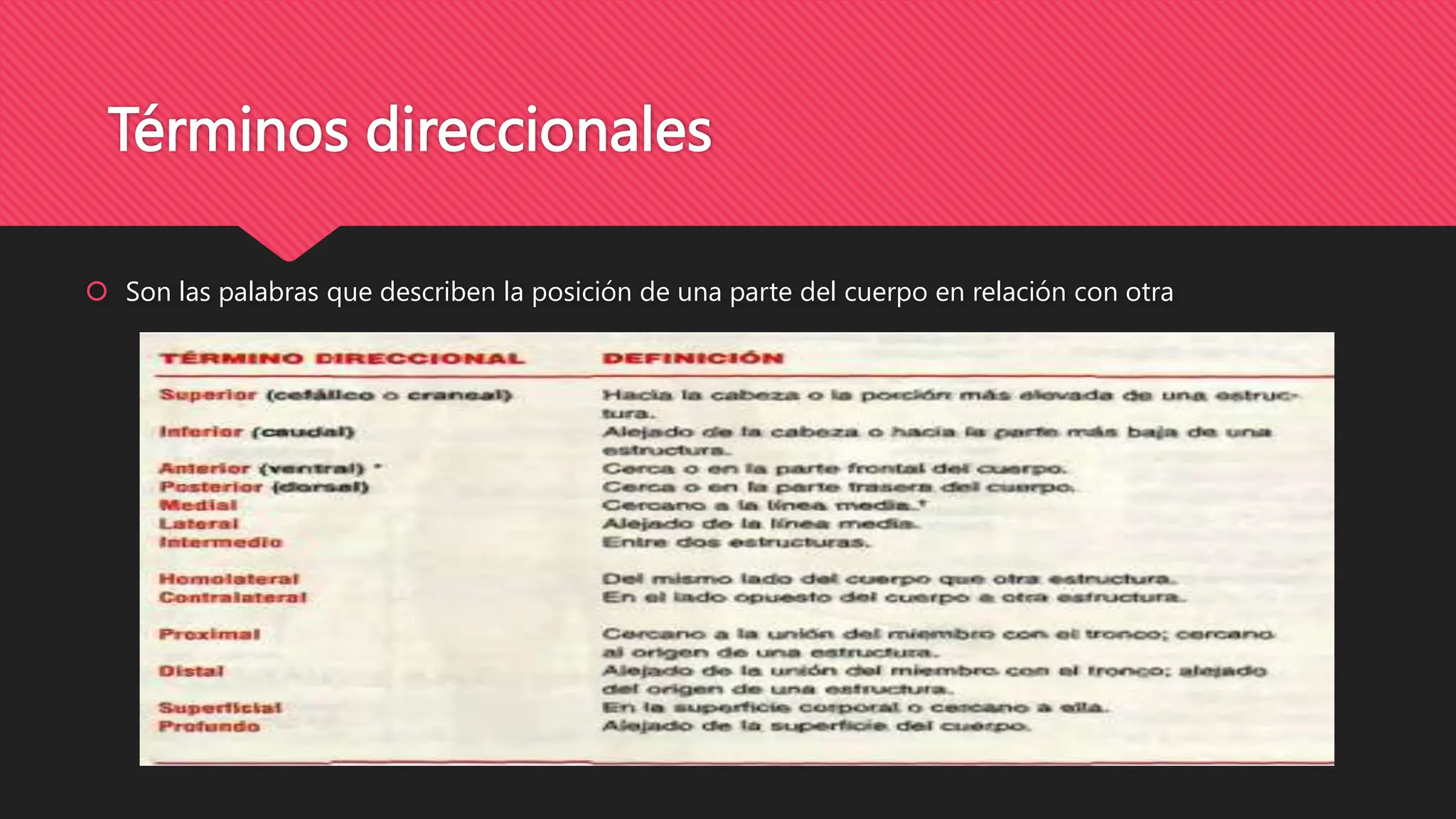 Planos y cortes anatomicos.pptx