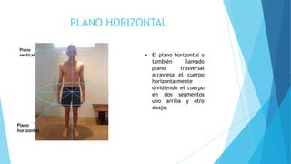 (Planos y ejes) | PPTX