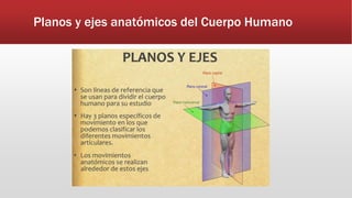 PLANOS Y EJES ANATOMICOS DEL CUERPO HUMANO.pptx