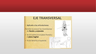 PLANOS Y EJES ANATOMICOS DEL CUERPO HUMANO.pptx