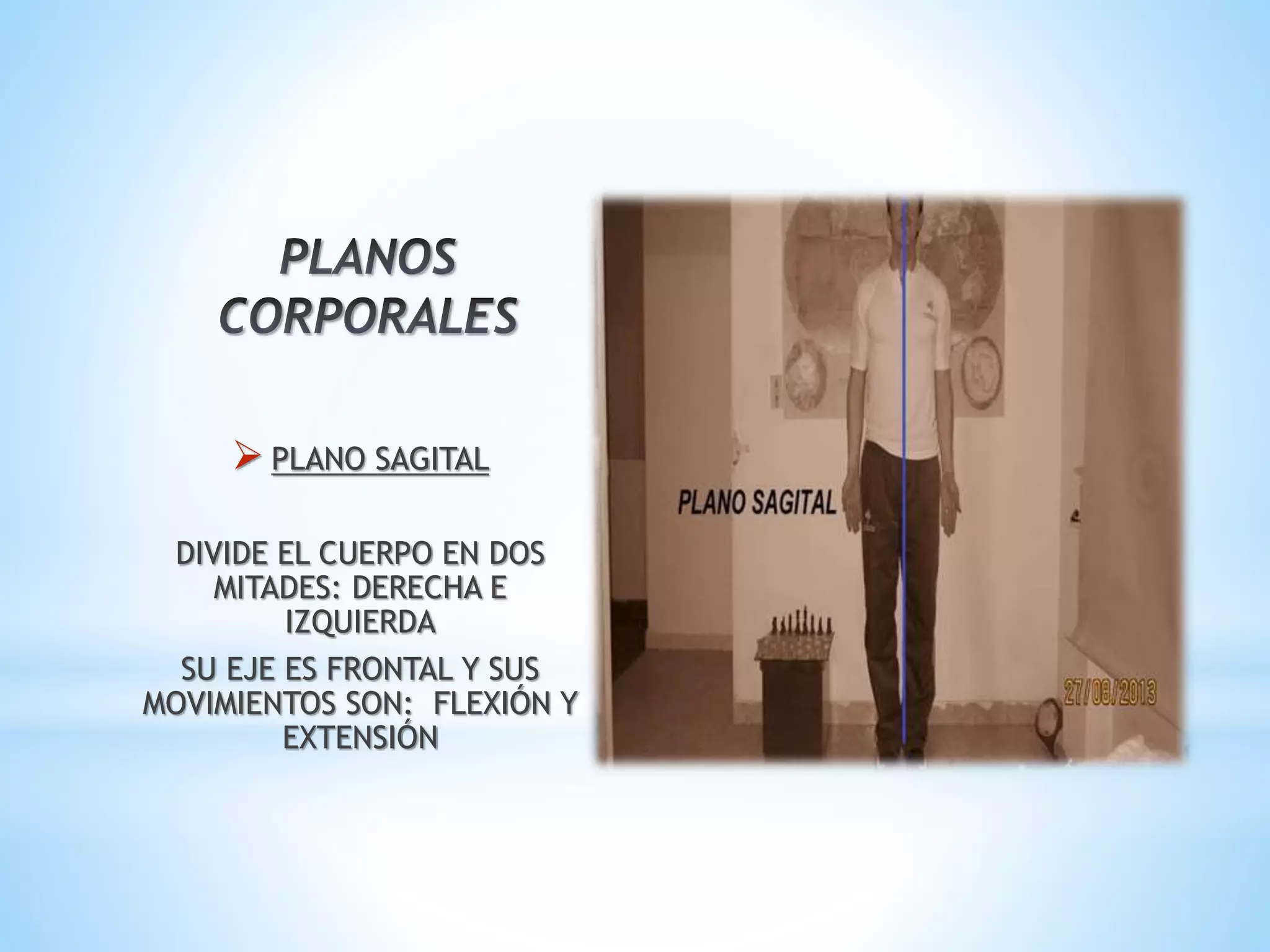 Planos y ejes corporales sesion 1 clase 2