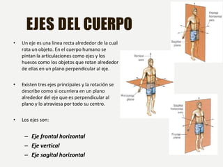 Planos y Ejes anatomicos del Cuerpo Humano.pdf