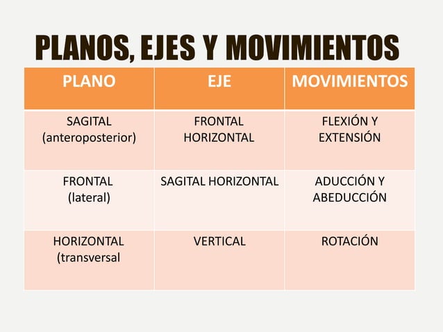 Planos y Ejes anatomicos del Cuerpo Humano.pdf
