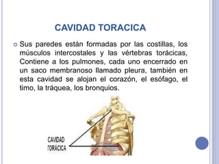 Planos y posiciones.ppt