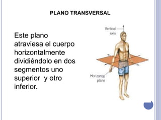 Planos y posiciones.ppt