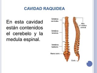 Planos y posiciones.ppt