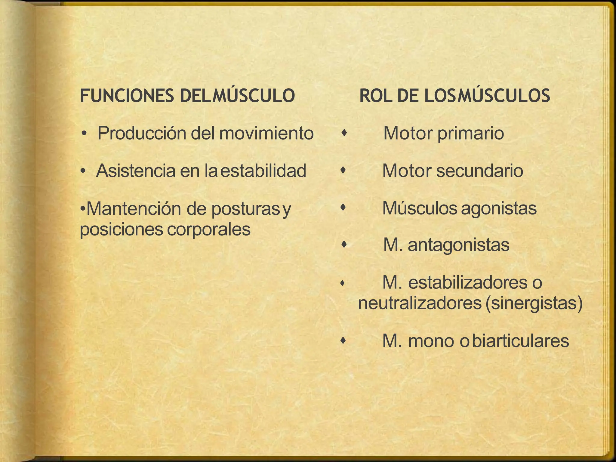PLANO Y TEJIDOS anatomia y fisiologia humana | PPTX | Bone and Joint ...