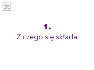 Magello - plan płatności | PPT