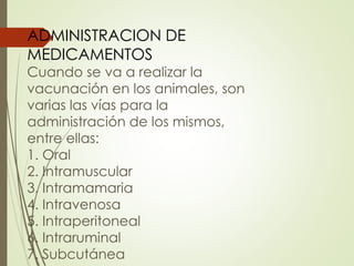 Plan profilactico | PPTX