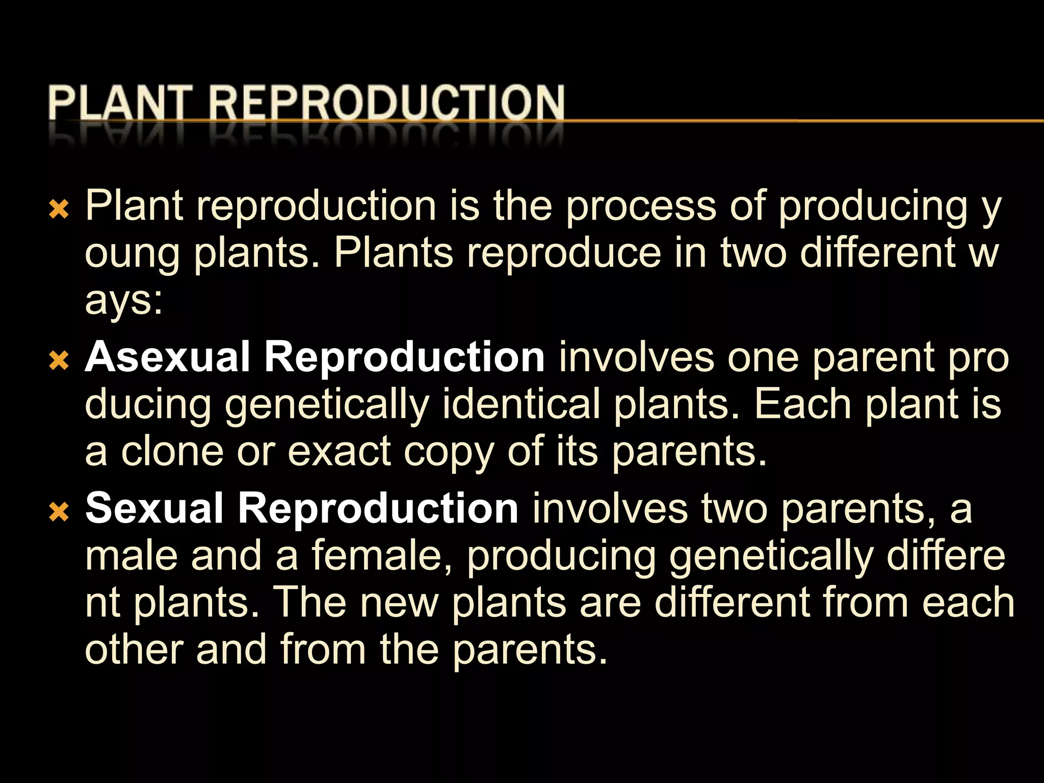 plant reproduction.pptx | Infertility | Reproductive Health