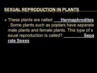 plant reproduction.pptx | Infertility | Reproductive Health