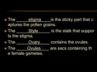 plant reproduction.pptx | Infertility | Reproductive Health