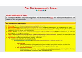 Plan risk management | PPT