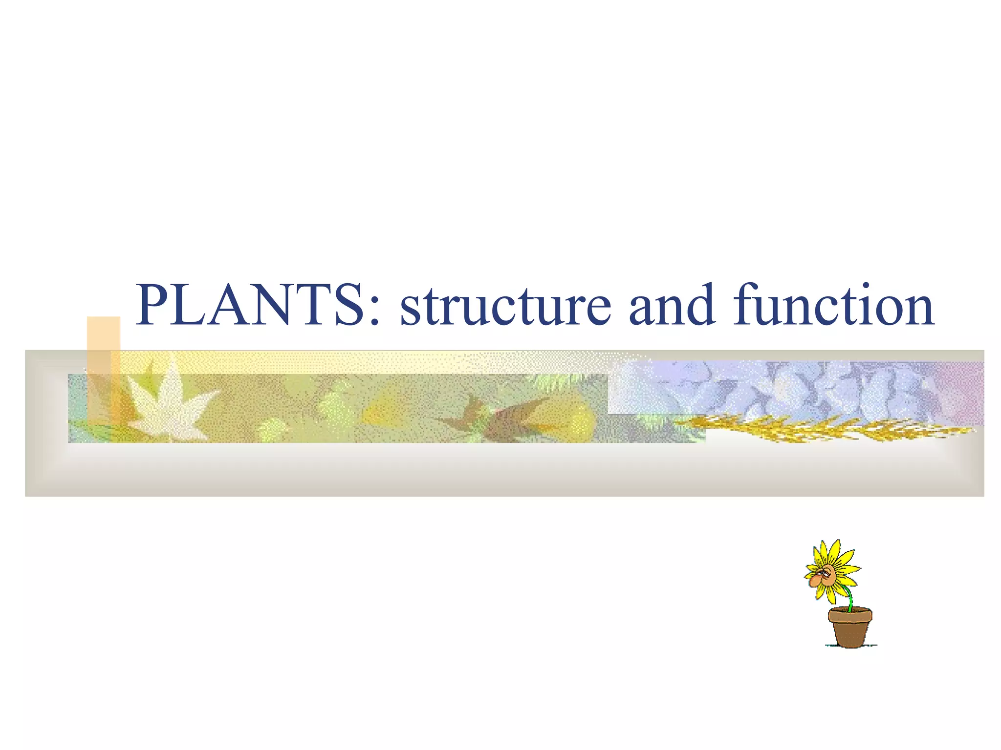Plants: Structure and Function | PPT