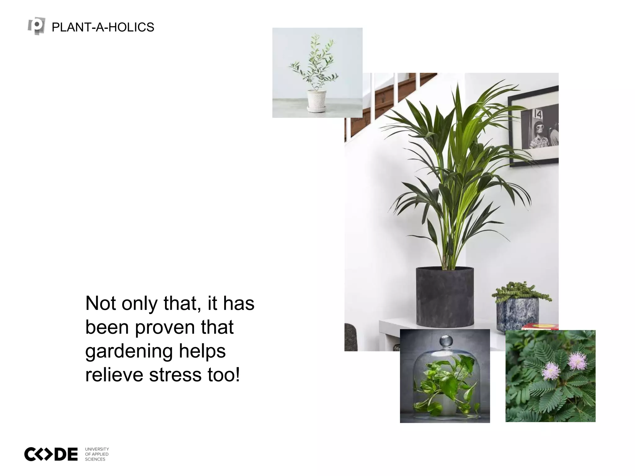 Plant-a-holics | PPT