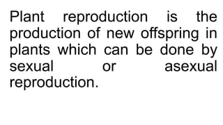 plANT reproduction parts and its function-.pptx