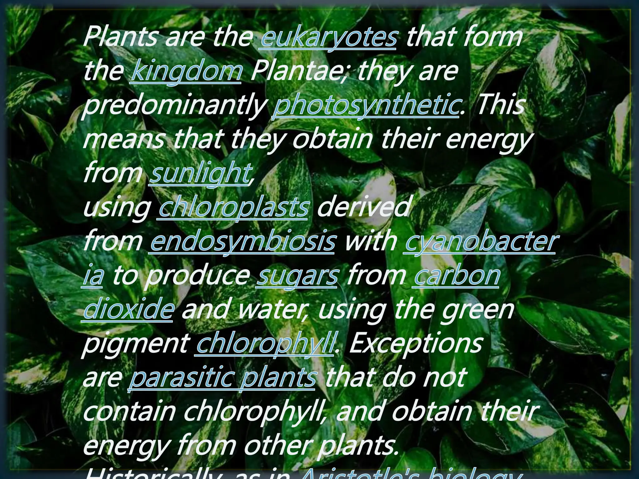 "PLANT" Unveiling the Secret Life of Plants | PPTX
