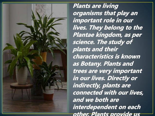 "PLANT" Unveiling the Secret Life of Plants | PPTX
