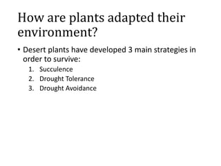 Plant adaptation (1) | PPTX
