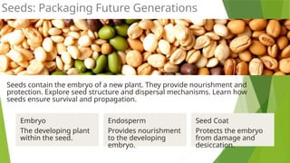 Plant-Anatomy. How plant grow and it's processed.pptx
