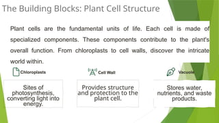 Plant-Anatomy. How plant grow and it's processed.pptx