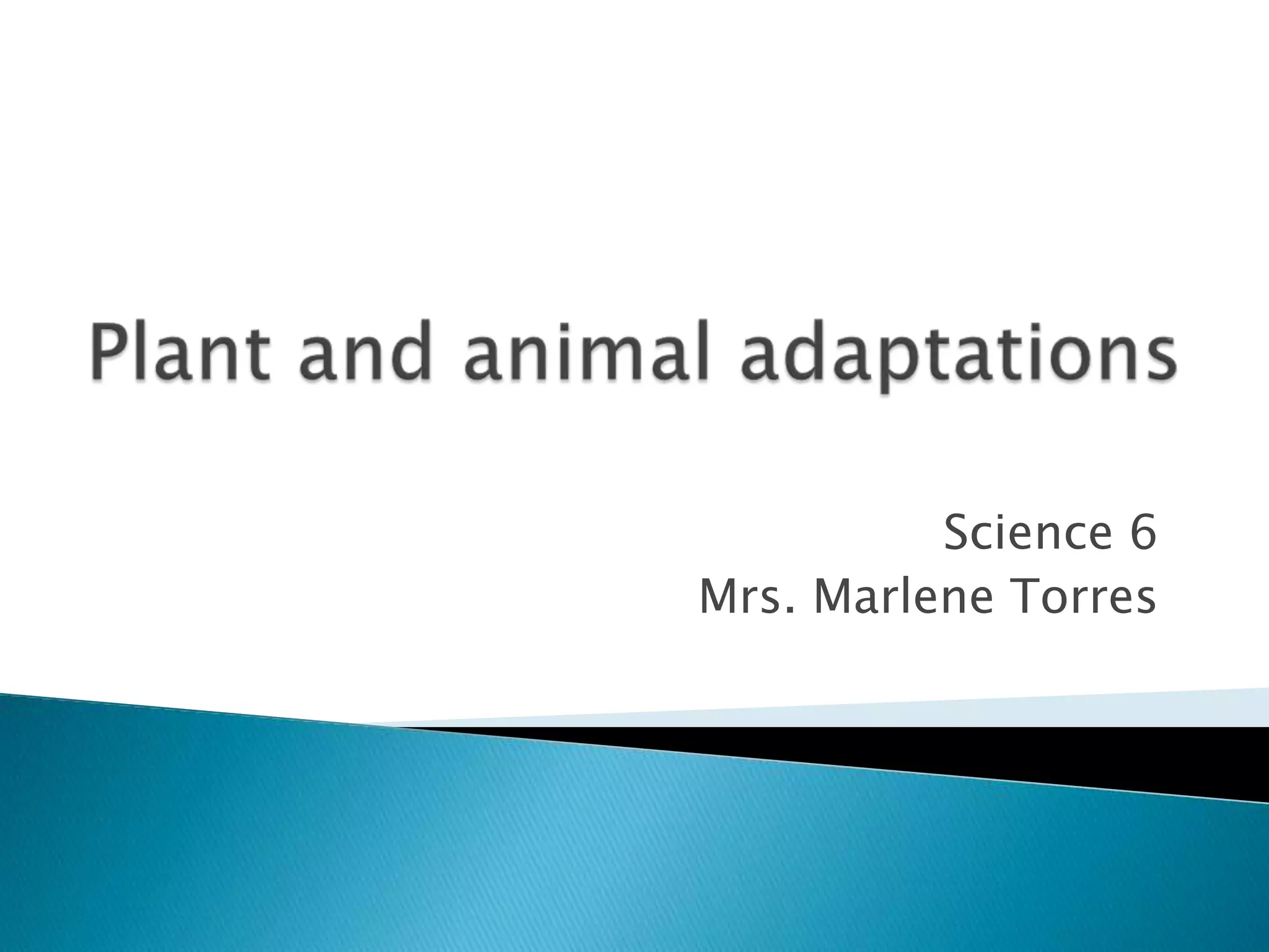 Plant And Animal Adaptation | PPT