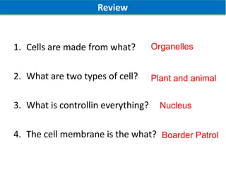 Plant-and-Animal-Cells.ppt
