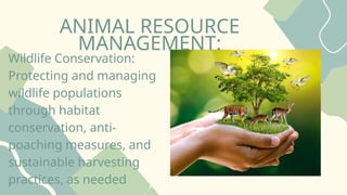 Plant-and-animal-management presentation.pptx