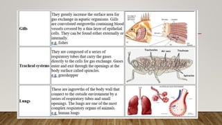 PLANT-AND-ANIMAL-ORGAN-SYSTEMS-AND-THEIR-FUNCTIONS.pdf