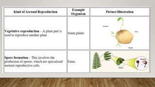 PLANT-AND-ANIMAL-ORGAN-SYSTEMS-AND-THEIR-FUNCTIONS.pdf
