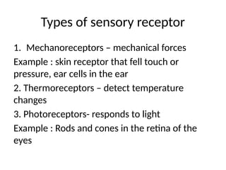 Plant-and-Animal-Sensory-and-Motor-Mechanism.pptx