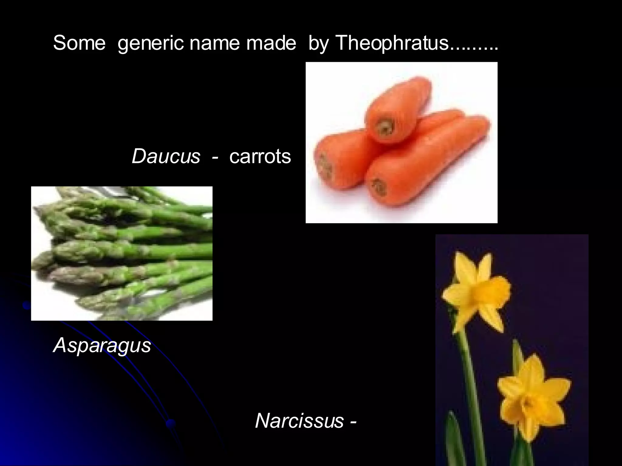 Plant And Animal Taxonomy | PPT