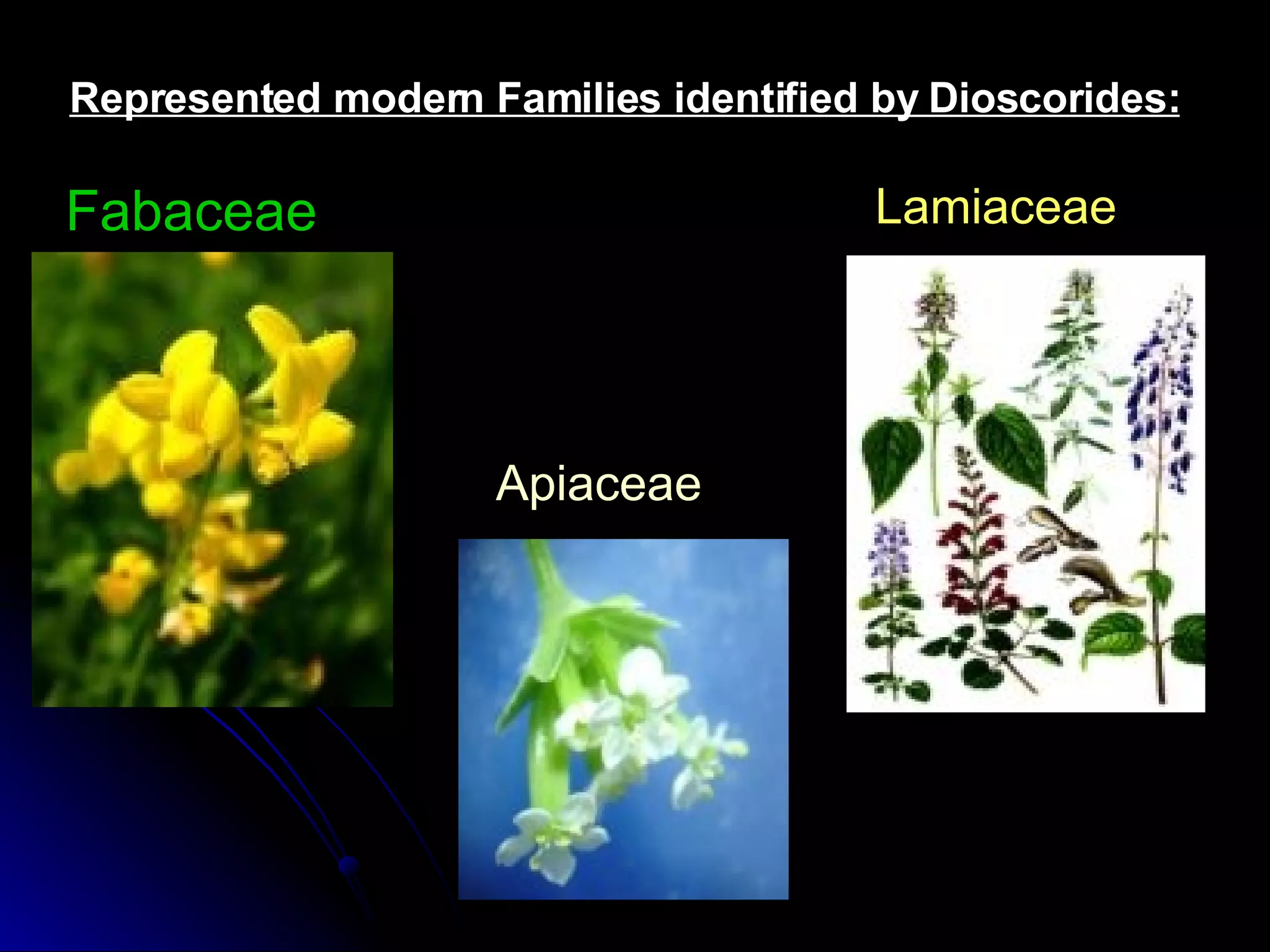 Plant And Animal Taxonomy | PPT