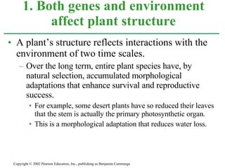 Plant Body | PPT