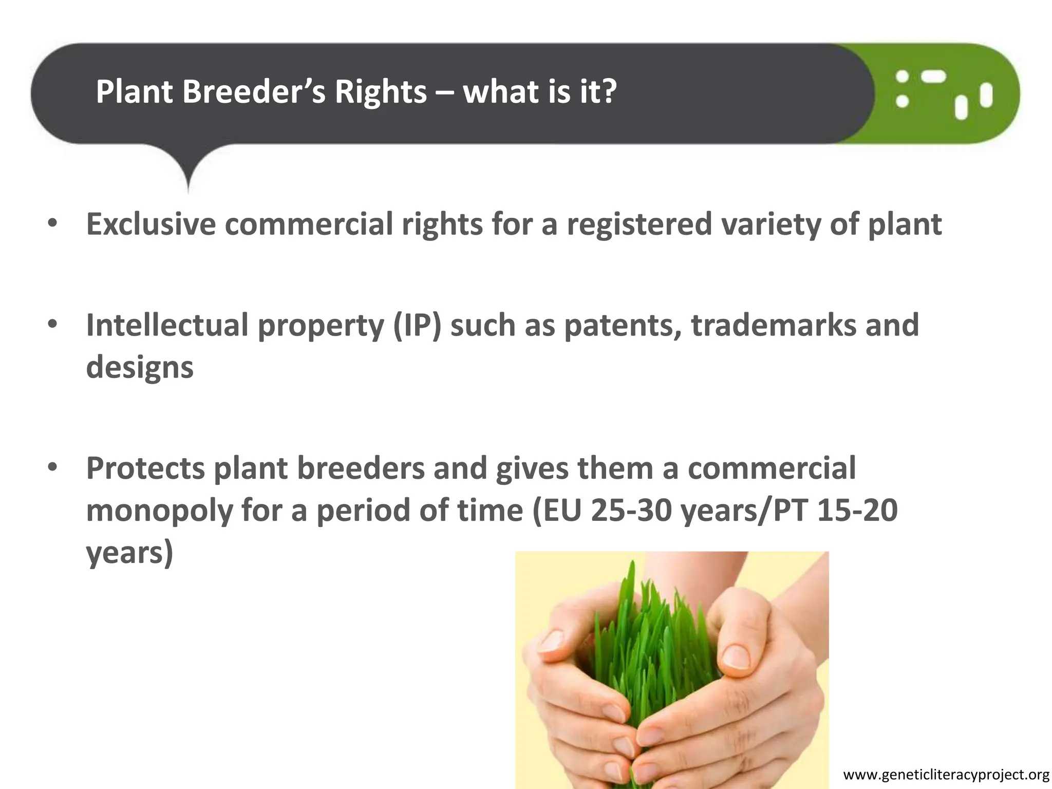Plants-Breeder-Rights_PedroCarvalho.pptx