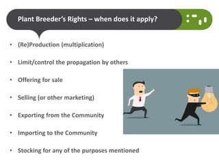 Plants-Breeder-Rights_PedroCarvalho.pptx