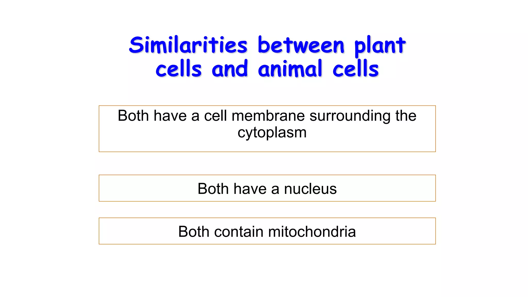 PLANT-CELL-AND-ANIMAL-CELL.ppt
