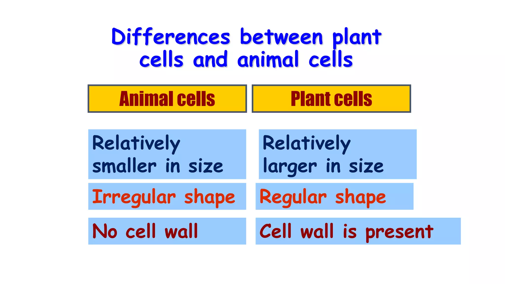 PLANT-CELL-AND-ANIMAL-CELL.ppt
