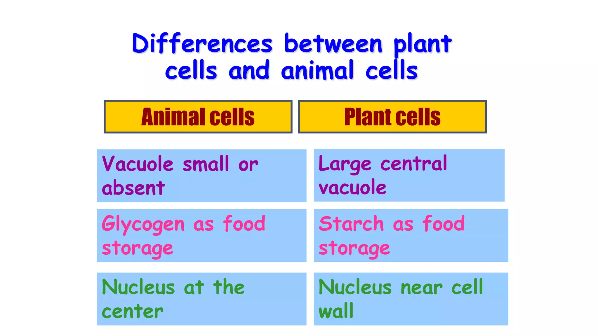PLANT-CELL-AND-ANIMAL-CELL.ppt