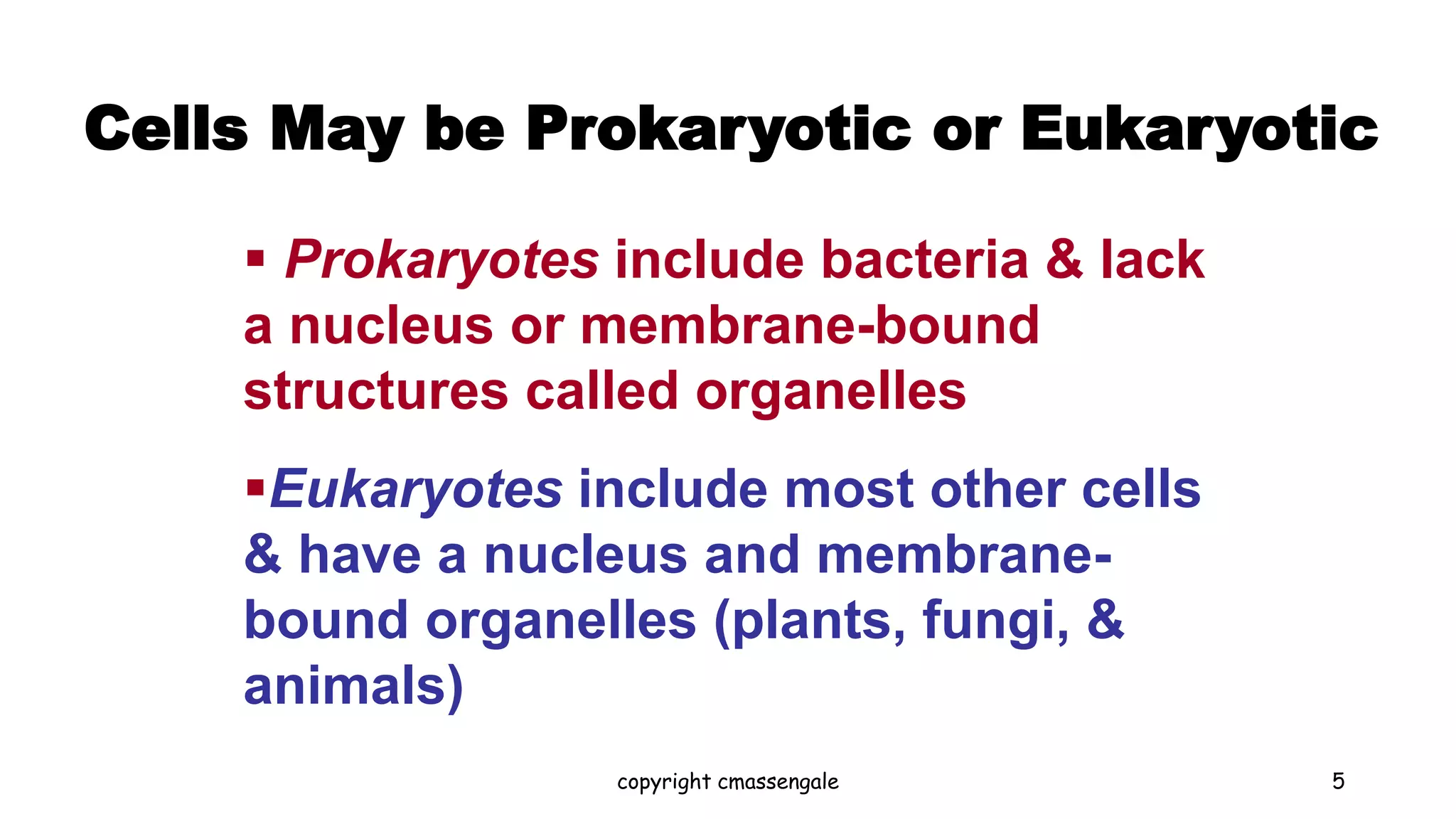 PLANT-CELL-AND-ANIMAL-CELL.ppt