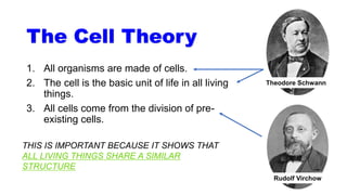 PLANT-CELL-AND-ANIMAL-CELL.ppt