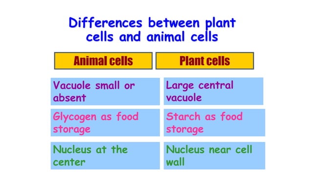 PLANT-CELL-AND-ANIMAL-CELL.ppt | Biological Sciences | Science
