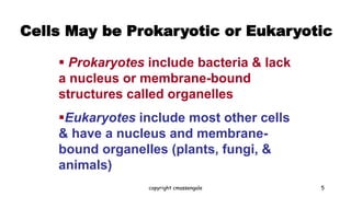 PLANT-CELL-AND-ANIMAL-CELL.ppt