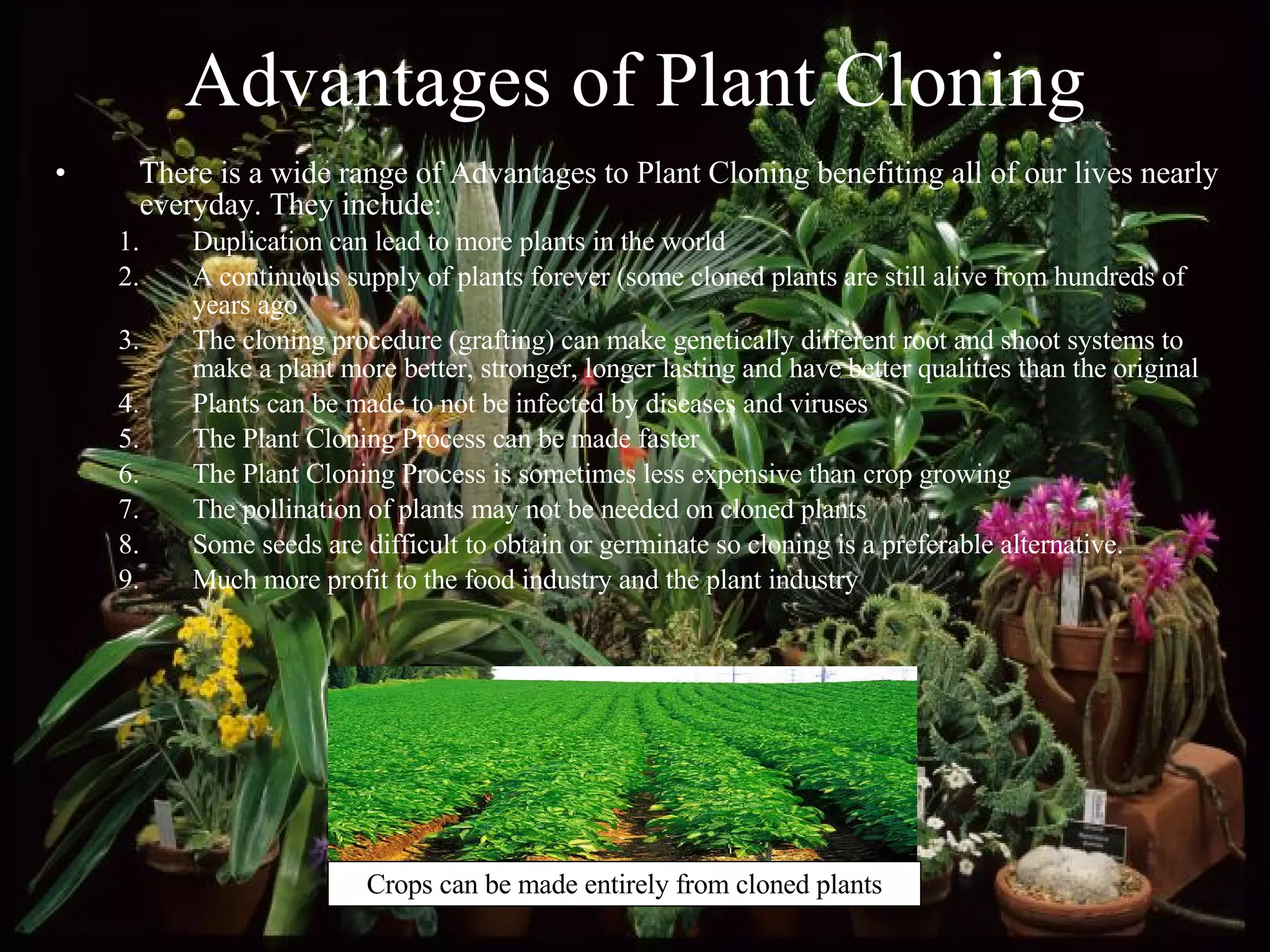Plant Cloning Presentation | PPT