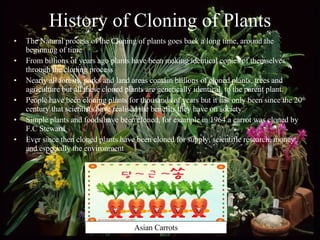 Plant Cloning Presentation | PPT