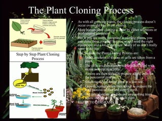 Plant Cloning Presentation | PPT