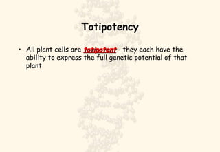 Plant Culture | PPT | Gardening | Home & Garden