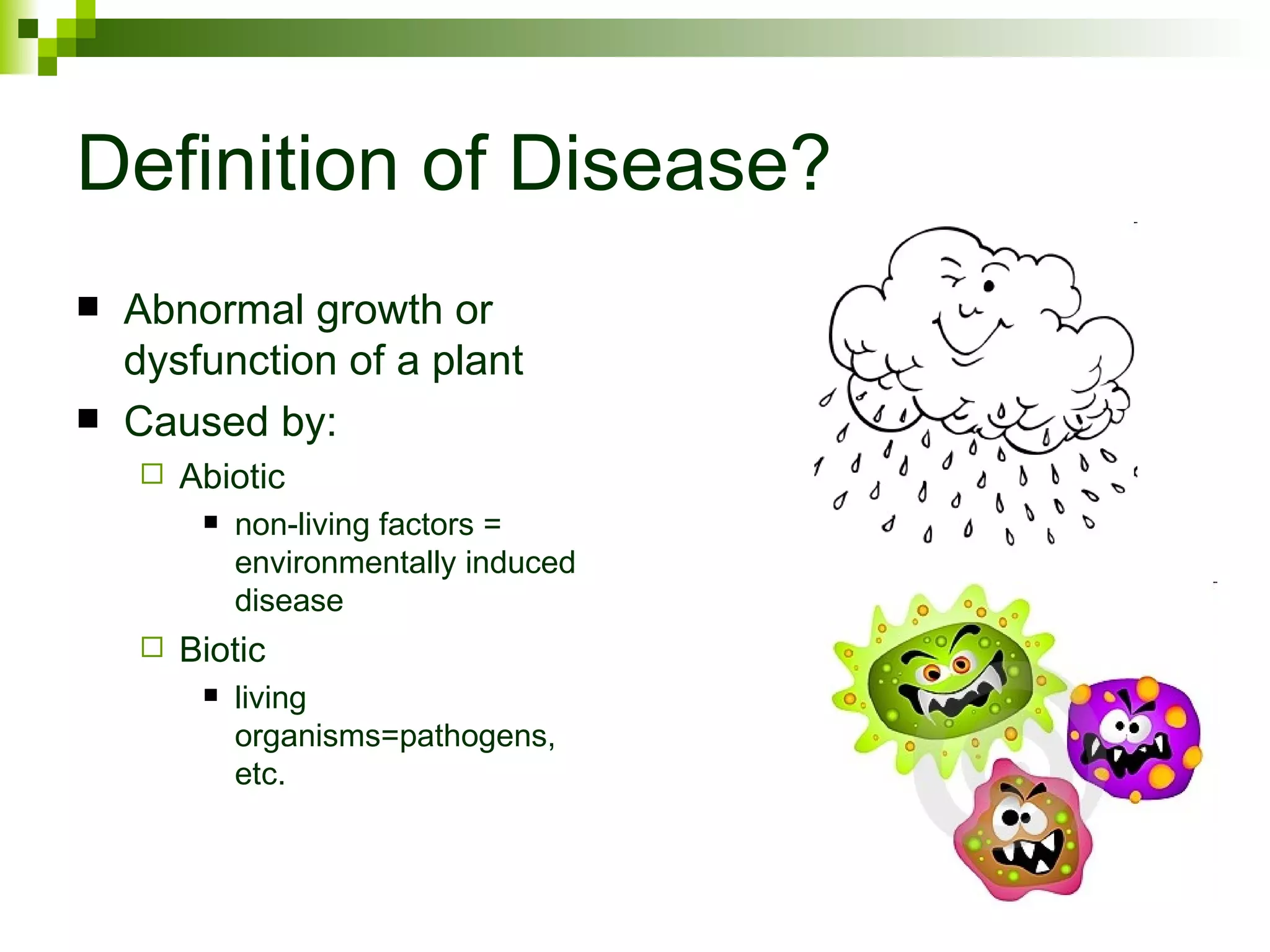 Introduction to Greenhouse Diseases Seminar for ProGreen2009 | PPT