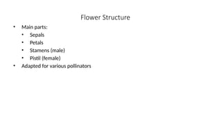 Plant-Diversity-and-Classification--From-Bryophytes-to-Angiosperms (1).pptx