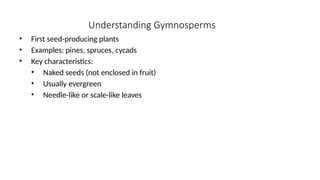 Plant-Diversity-and-Classification--From-Bryophytes-to-Angiosperms (1).pptx